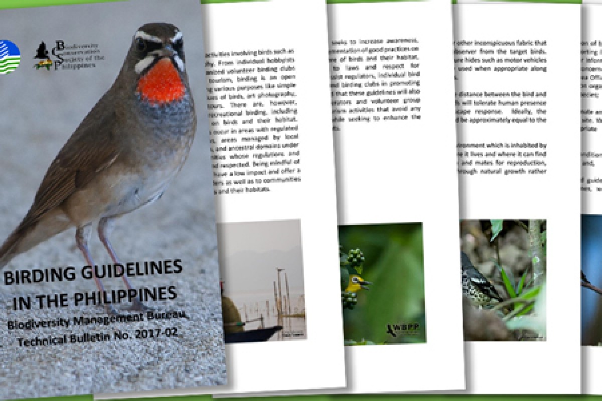 Birding Guidelines in the Philippines — Haribon Foundation